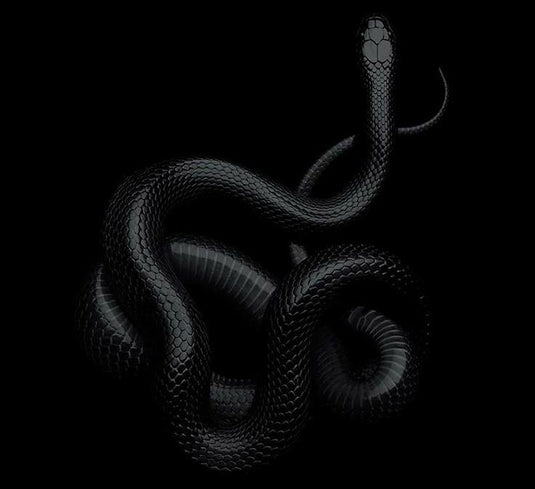 SUVARI | BLACK MAMBA – Louis Cartel